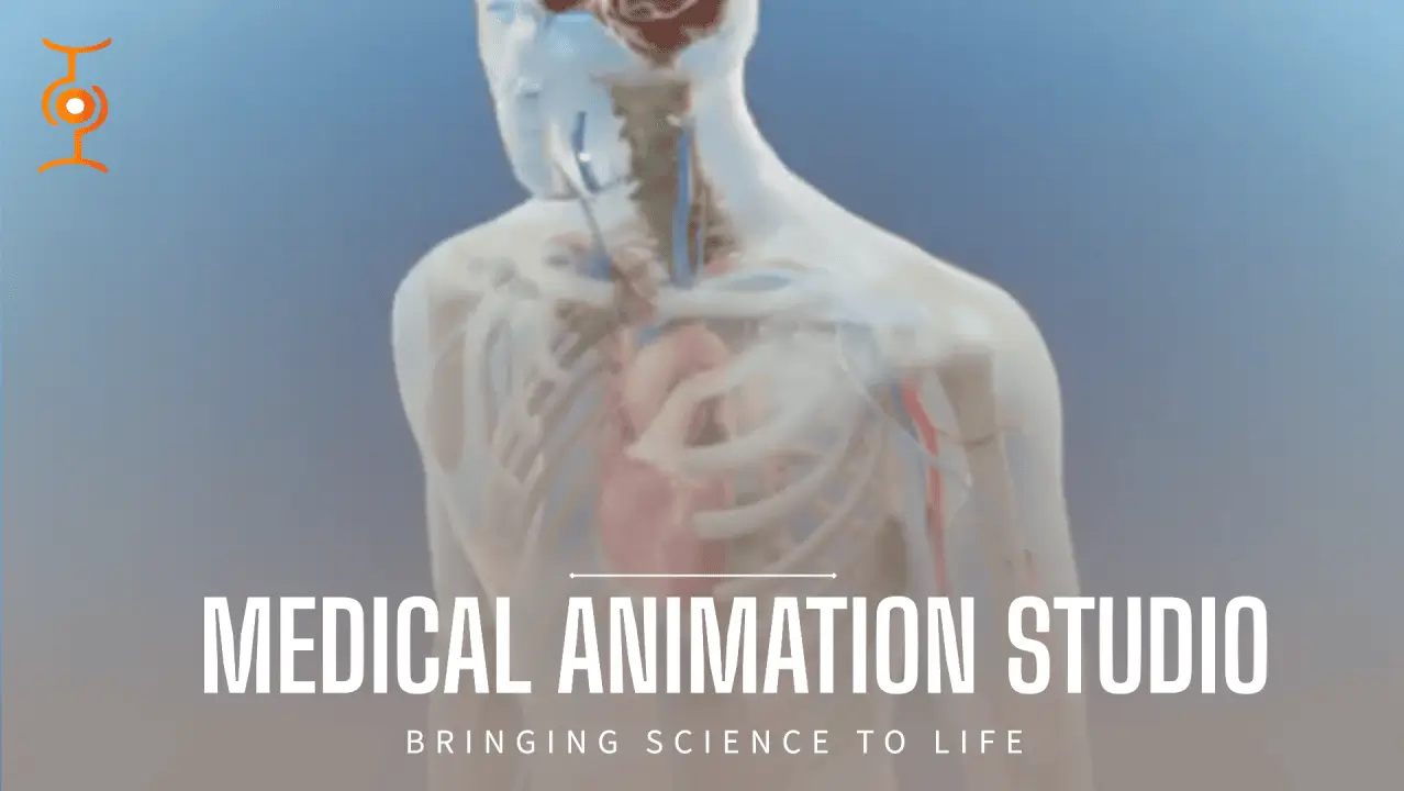 Pharmaceutical Medical Animation Studio in IndiaChasing Illusions Studio